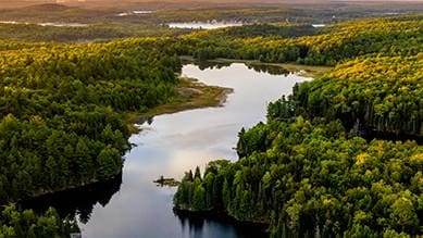 Unsearchable | Daily Devotional | Inspiration Ministries